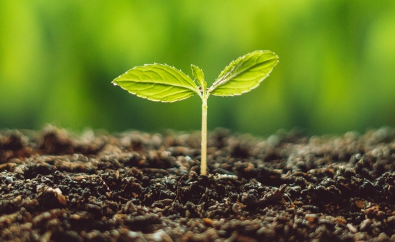 Sustainability | plastic2oil | igus®